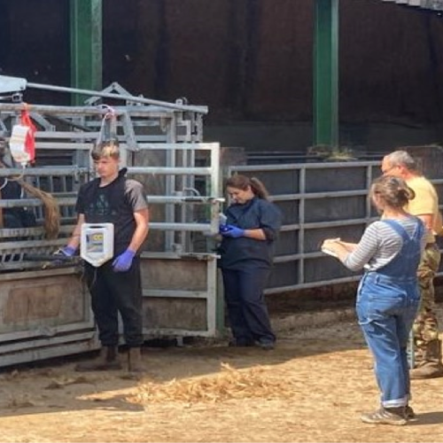 Sixth Form - Stony Dean School Amersham